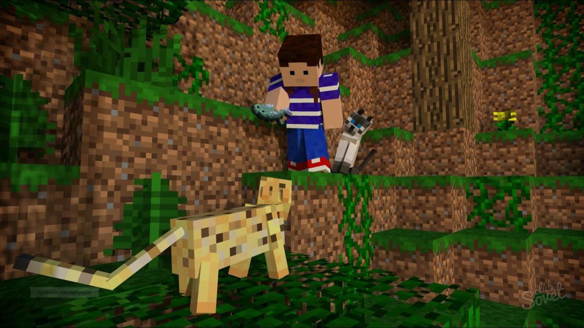 Cómo domesticar a un ocelote en Minecraft - Paso a paso y trucos